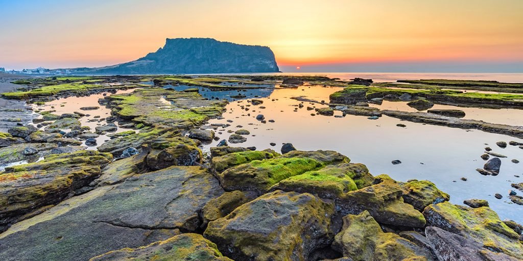 De 7 wereldwonderen der natuur | Ontdek het op 7Natuurwonderen.nl